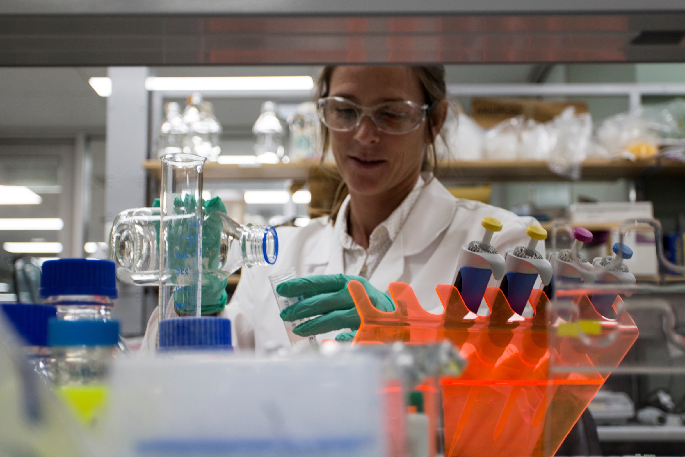 Research shows POC tests only detect high-level infection of WSSV - but ...